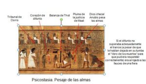 Descifrando la historia: La paleografía del Reino de los Ligures